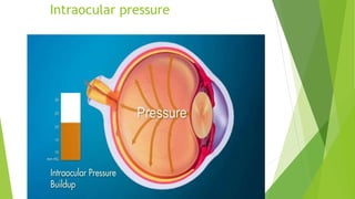 Anatomy and physiology of the Eye-Nursing | PPTX