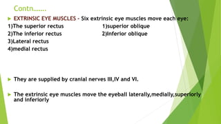 Anatomy and physiology of the Eye-Nursing | PPTX