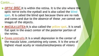 Anatomy and physiology of the Eye-Nursing | PPT