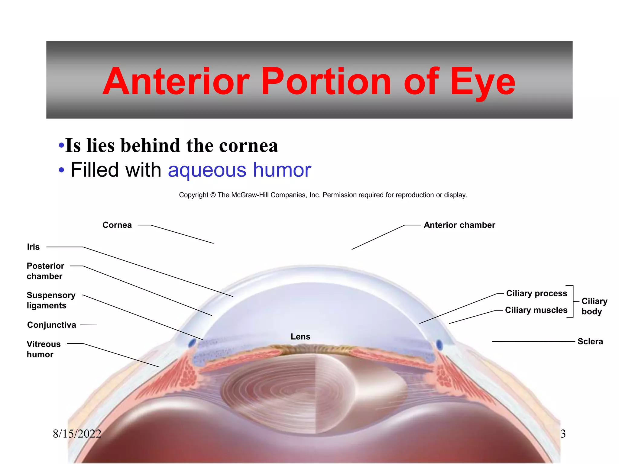 anatomy and physiology of the eye.pptx