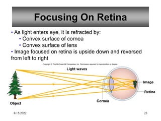 anatomy and physiology of the eye.pptx | Free Download