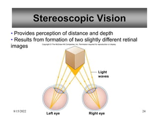 anatomy and physiology of the eye.pptx