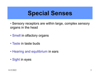 anatomy and physiology of the eye.pptx | Free Download