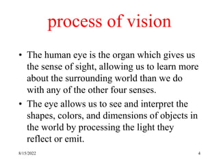 anatomy and physiology of the eye.pptx | Free Download