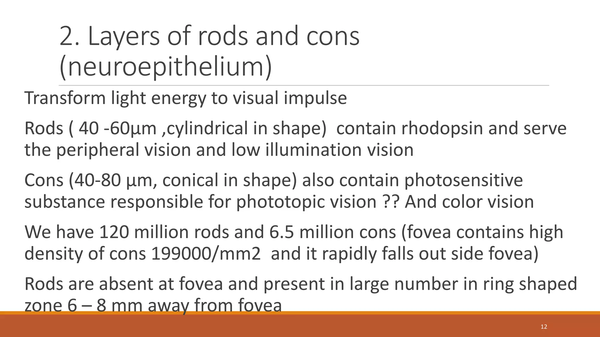 ANATOMY AND PHYSIOLOGY OF THE EYE. 2.pptx
