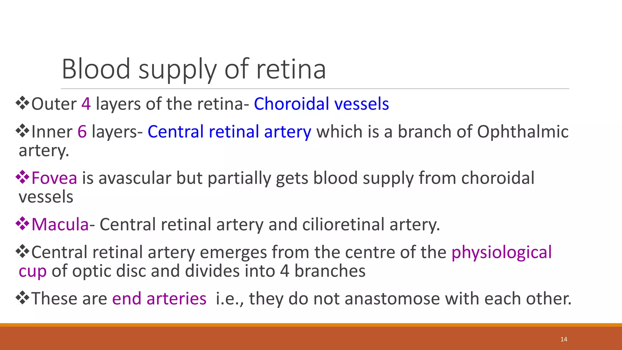 ANATOMY AND PHYSIOLOGY OF THE EYE. 2.pptx