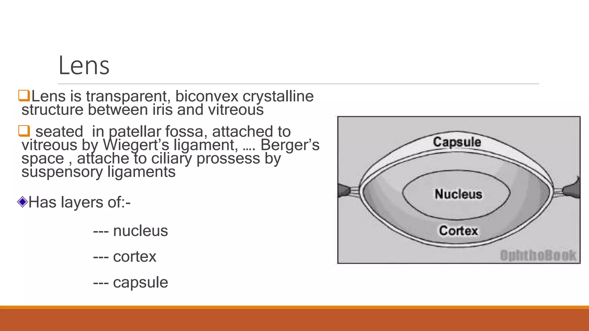 ANATOMY AND PHYSIOLOGY OF THE EYE. 2.pptx