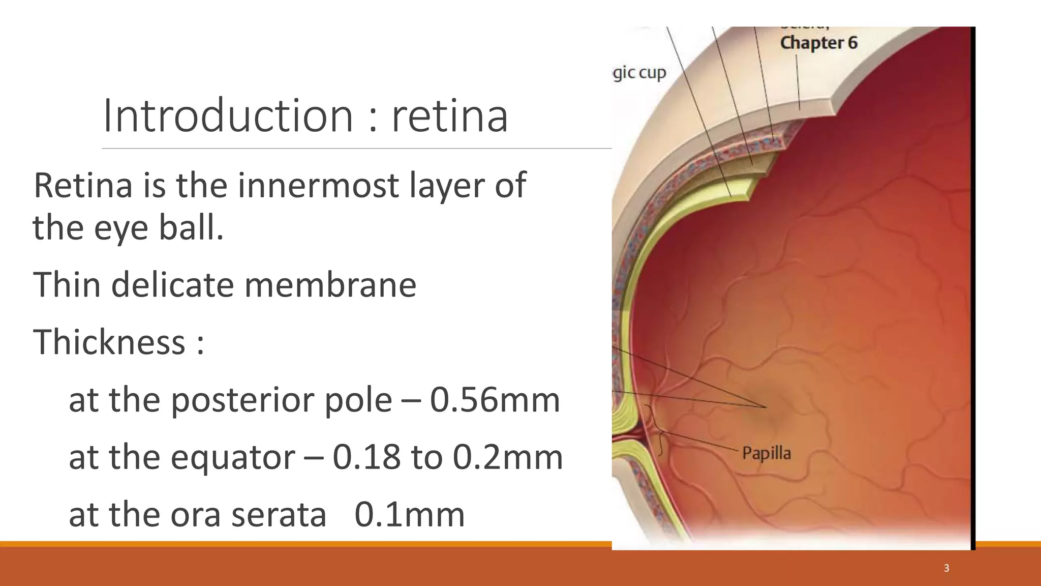 ANATOMY AND PHYSIOLOGY OF THE EYE. 2.pptx