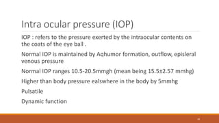 ANATOMY AND PHYSIOLOGY OF THE EYE. 2.pptx