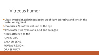 ANATOMY AND PHYSIOLOGY OF THE EYE. 2.pptx