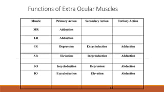 ANATOMY AND PHYSIOLOGY OF THE EYE. 2.pptx
