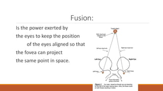 ANATOMY AND PHYSIOLOGY OF THE EYE. 2.pptx