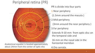 ANATOMY AND PHYSIOLOGY OF THE EYE. 2.pptx