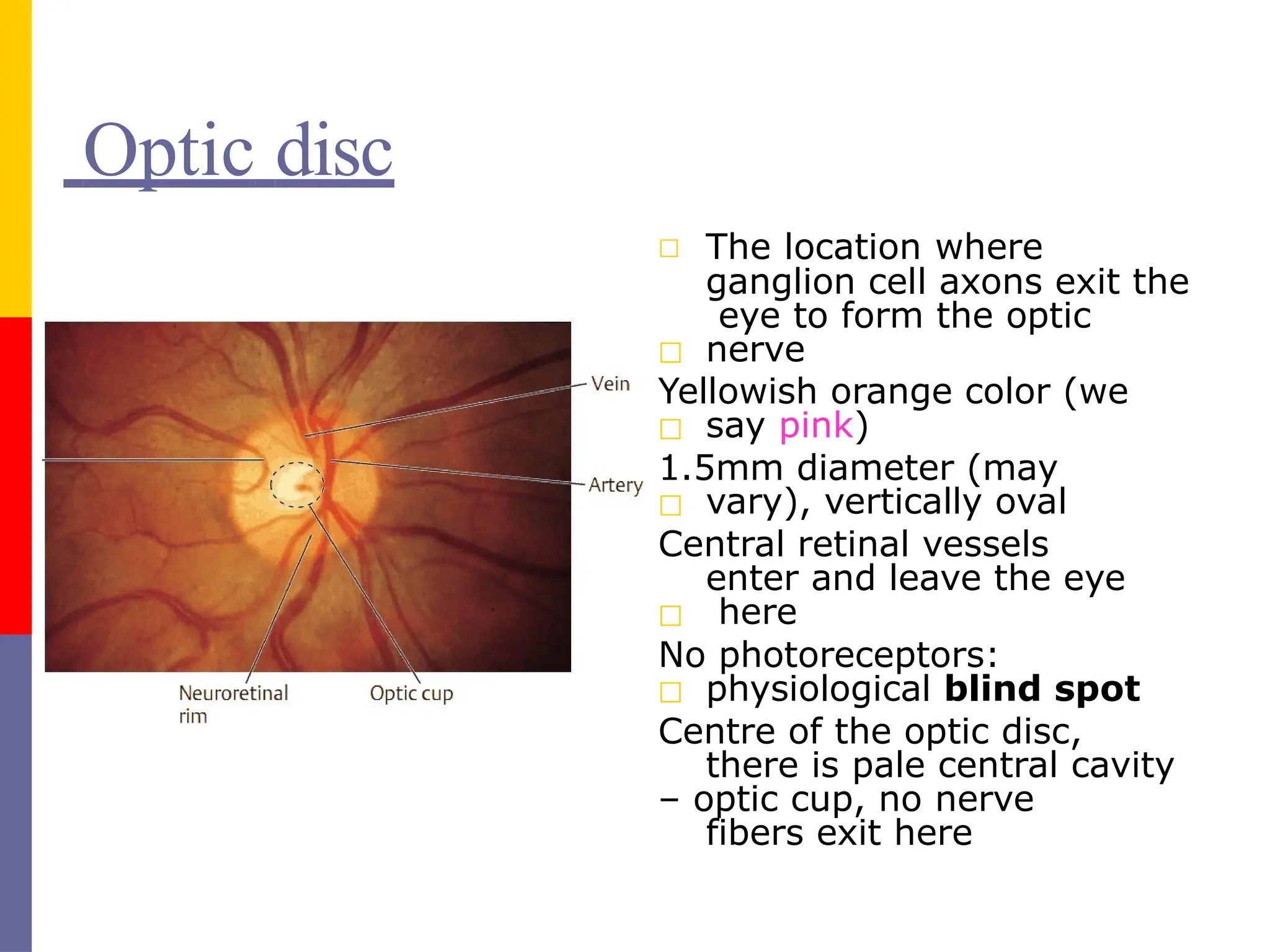 Anatomy and physiology of the eye by Dr Iqra.pptx