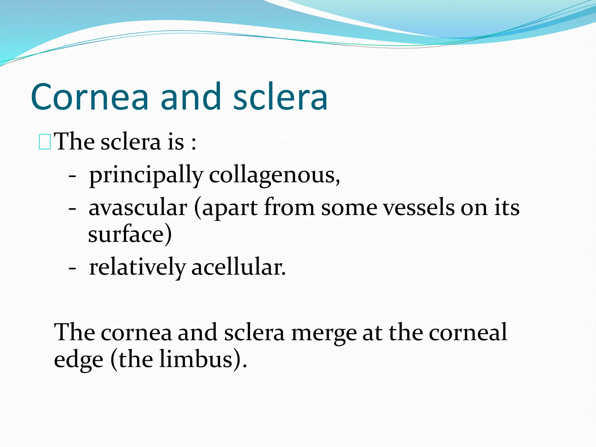 anatomy and physiology of the eye for Nurses.pdf