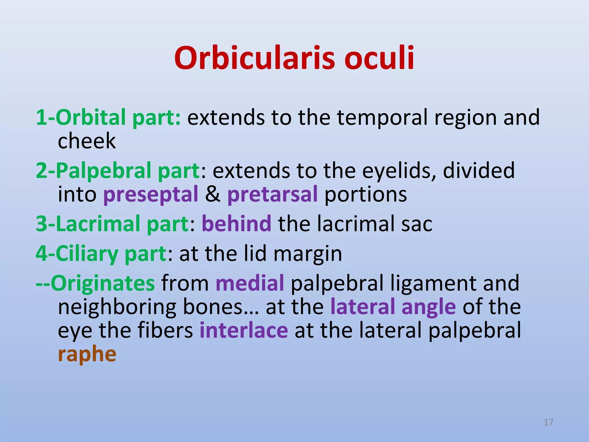 Anatomy and physiology of the eyelid | PPT