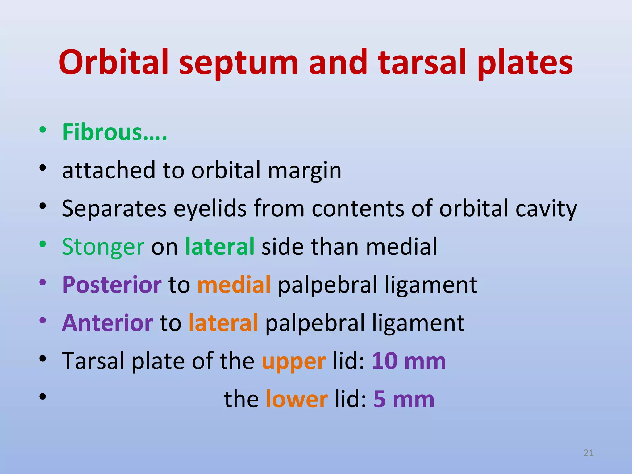 Anatomy and physiology of the eyelid | PPT