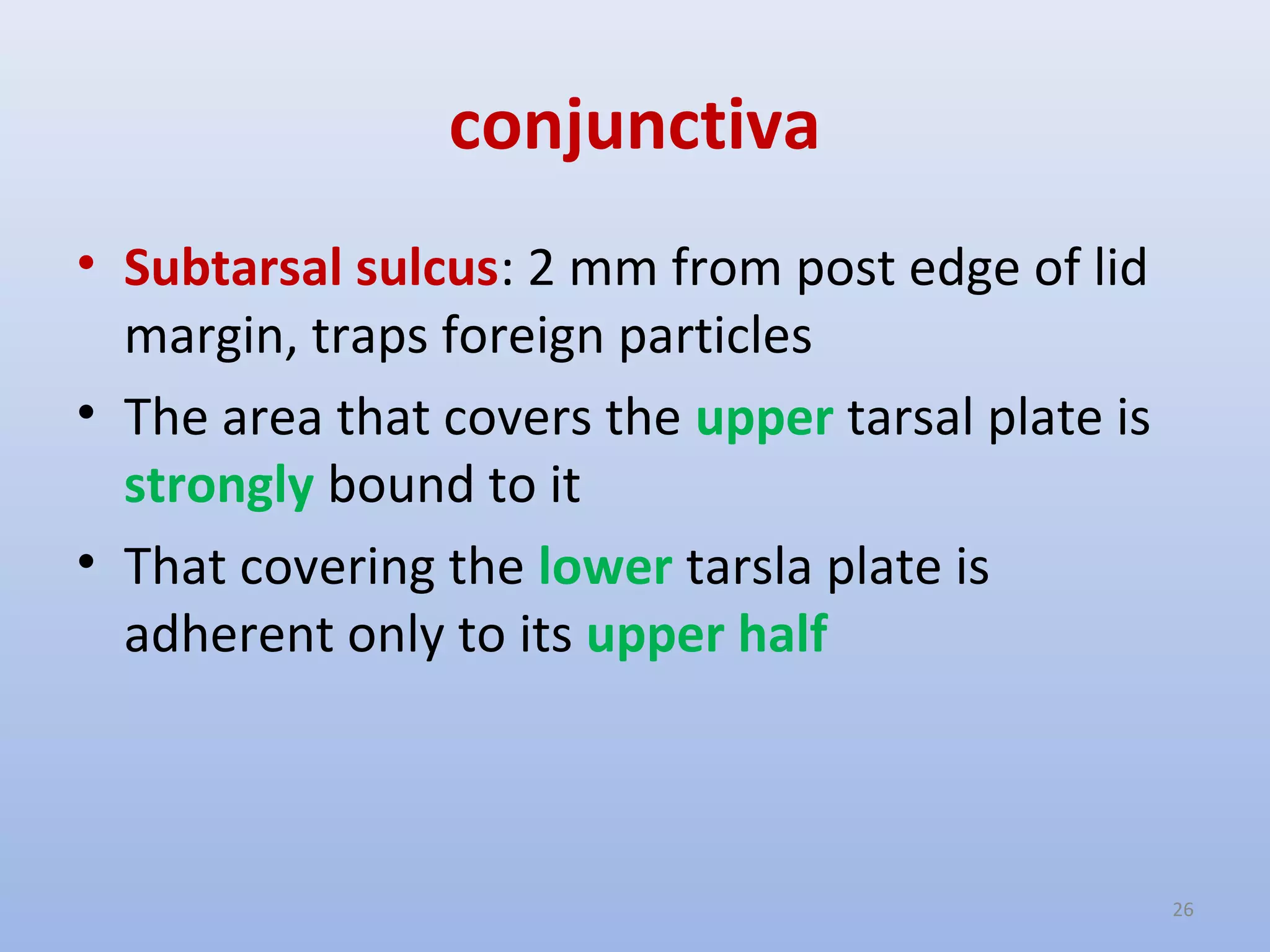 Anatomy and physiology of the eyelid | PPT