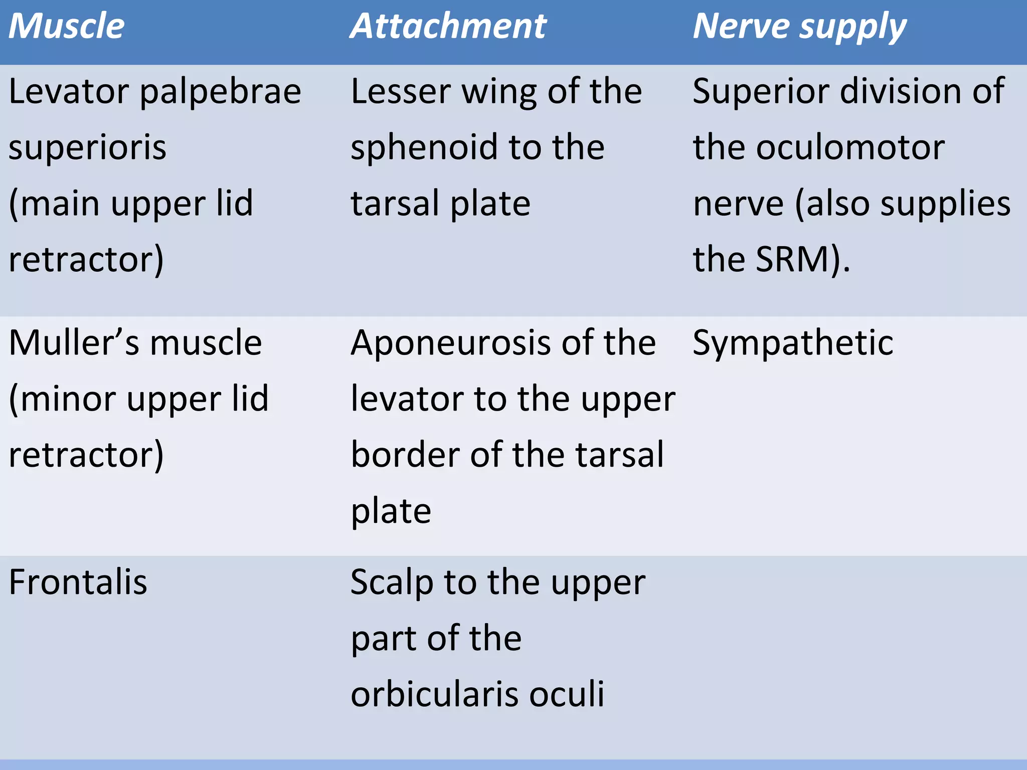 Anatomy and physiology of the eyelid | PPT