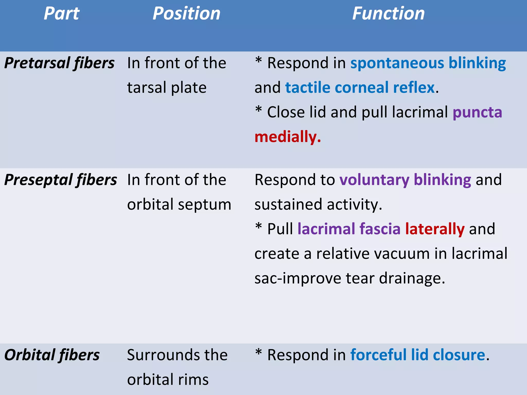 Anatomy and physiology of the eyelid | PPT