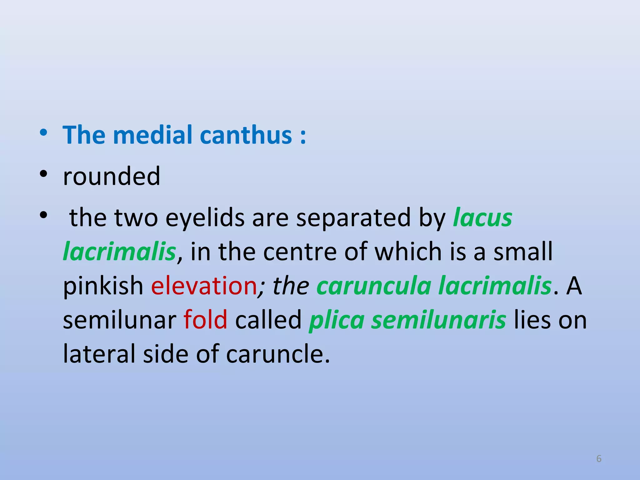 Anatomy and physiology of the eyelid | PPT