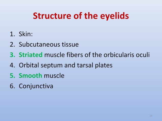 Anatomy and physiology of the eyelid | PPT