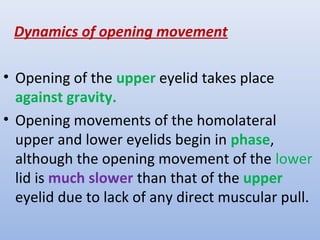 Anatomy and physiology of the eyelid | PPT