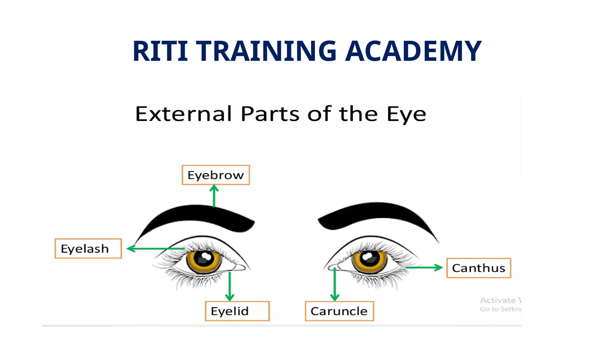 Anatomy and physiology of the eye RTA.pptx
