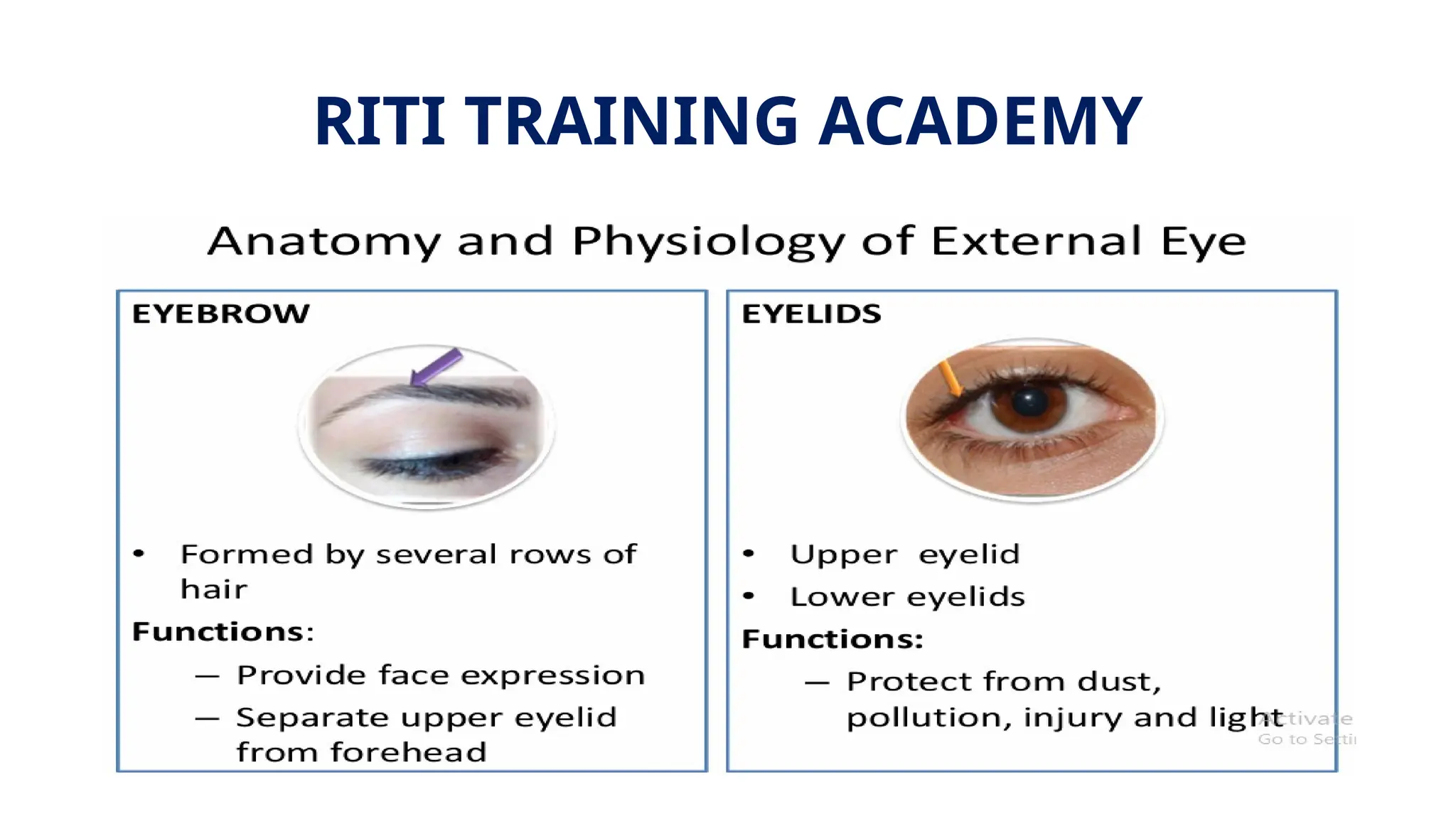 Anatomy and physiology of the eye RTA.pptx
