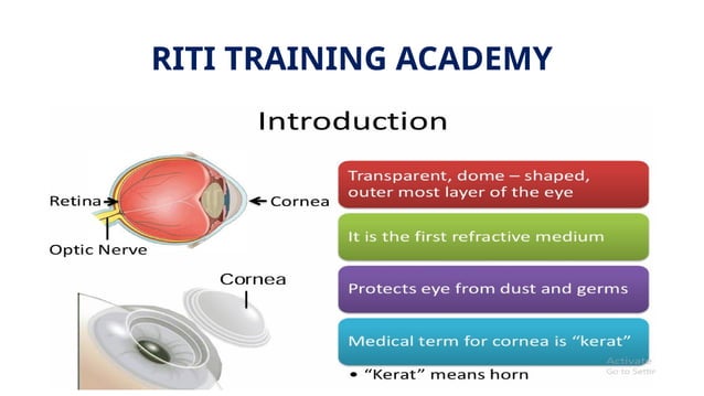 Anatomy and physiology of the eye RTA.pptx
