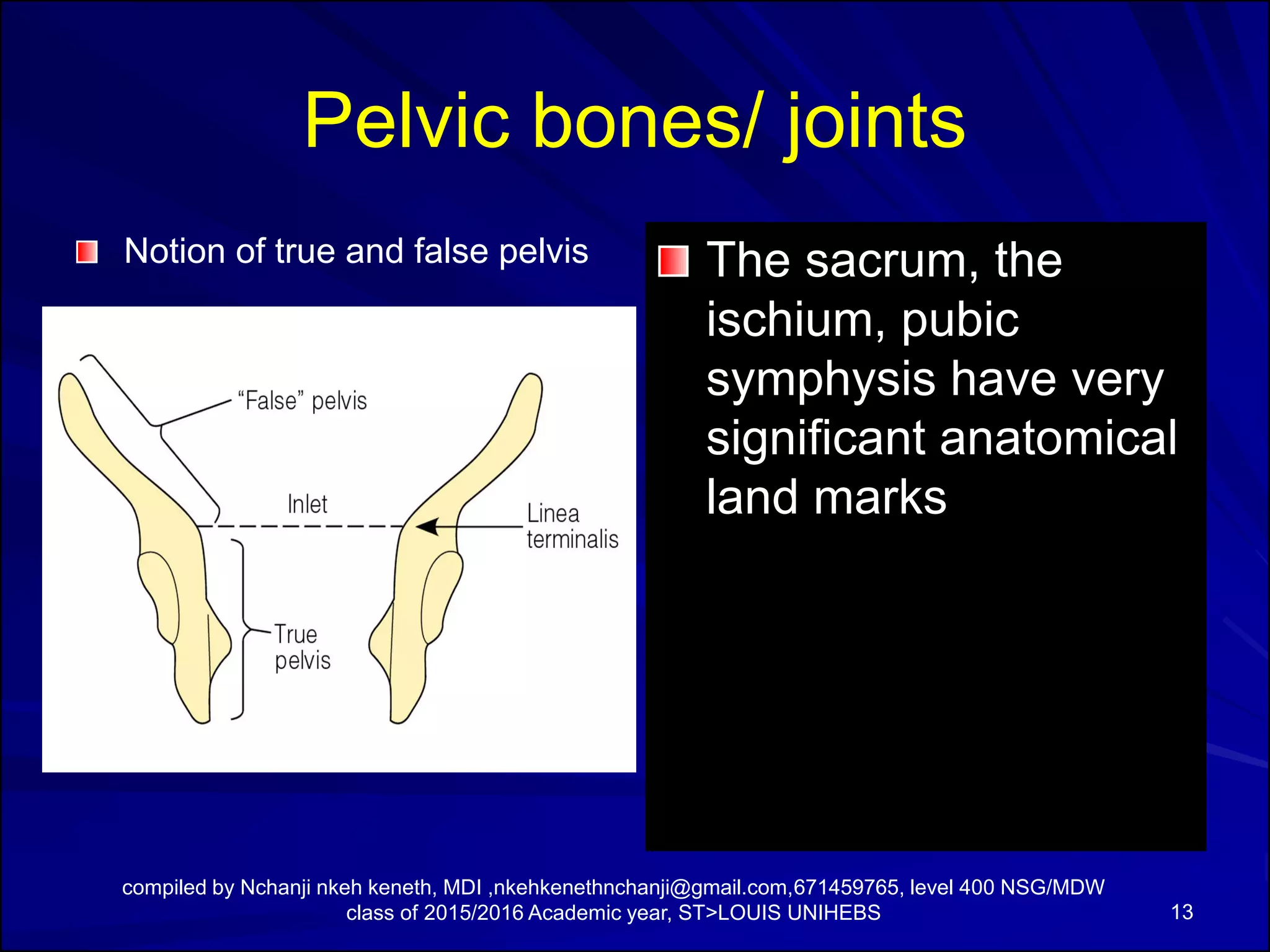 Anatomy and physiology of the female pelvic organs | PDF