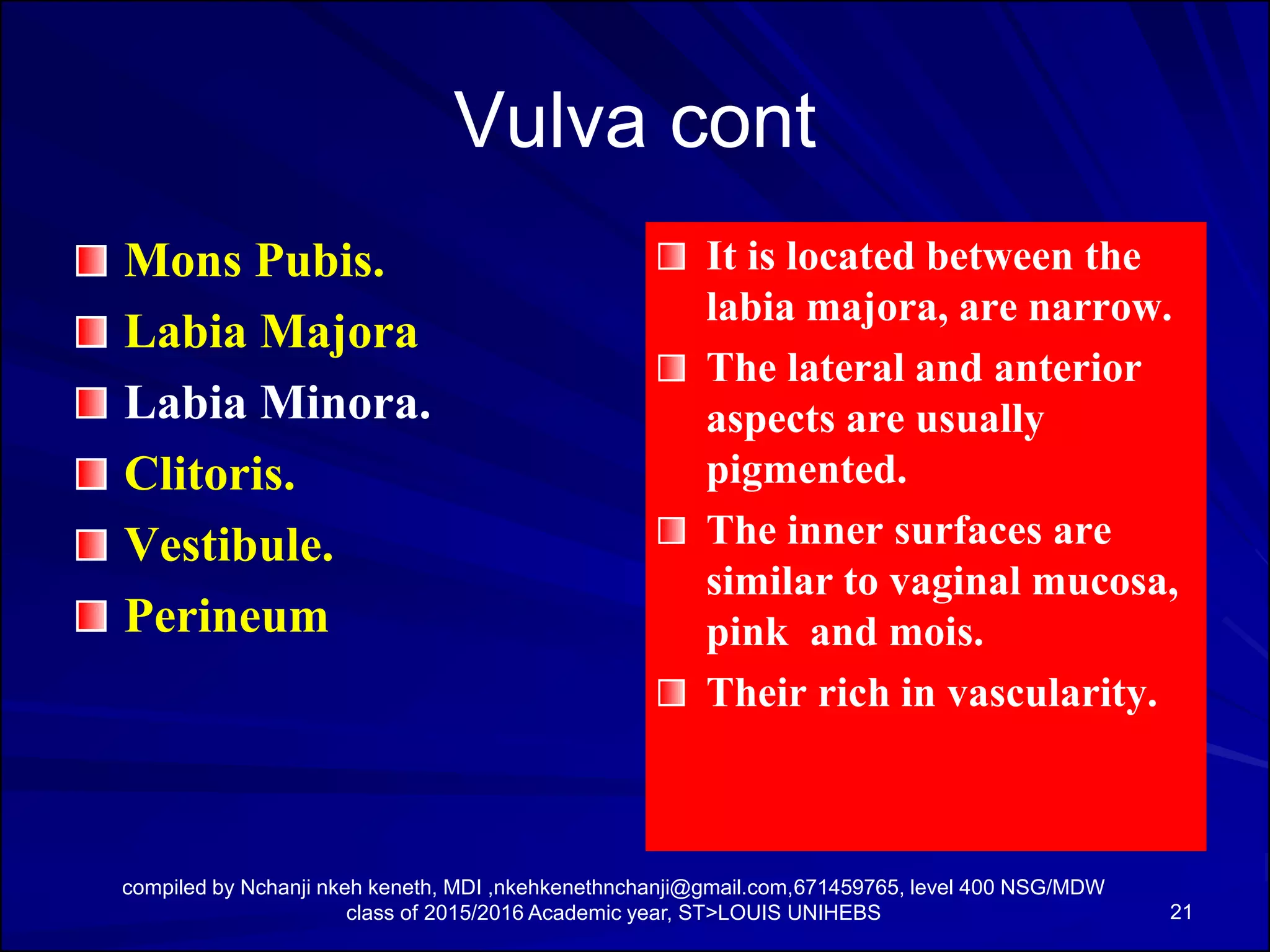 Anatomy and physiology of the female pelvic organs | PDF