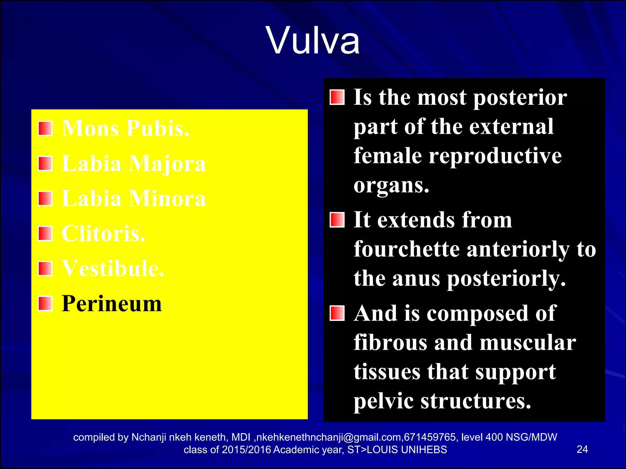 Anatomy and physiology of the female pelvic organs | PDF