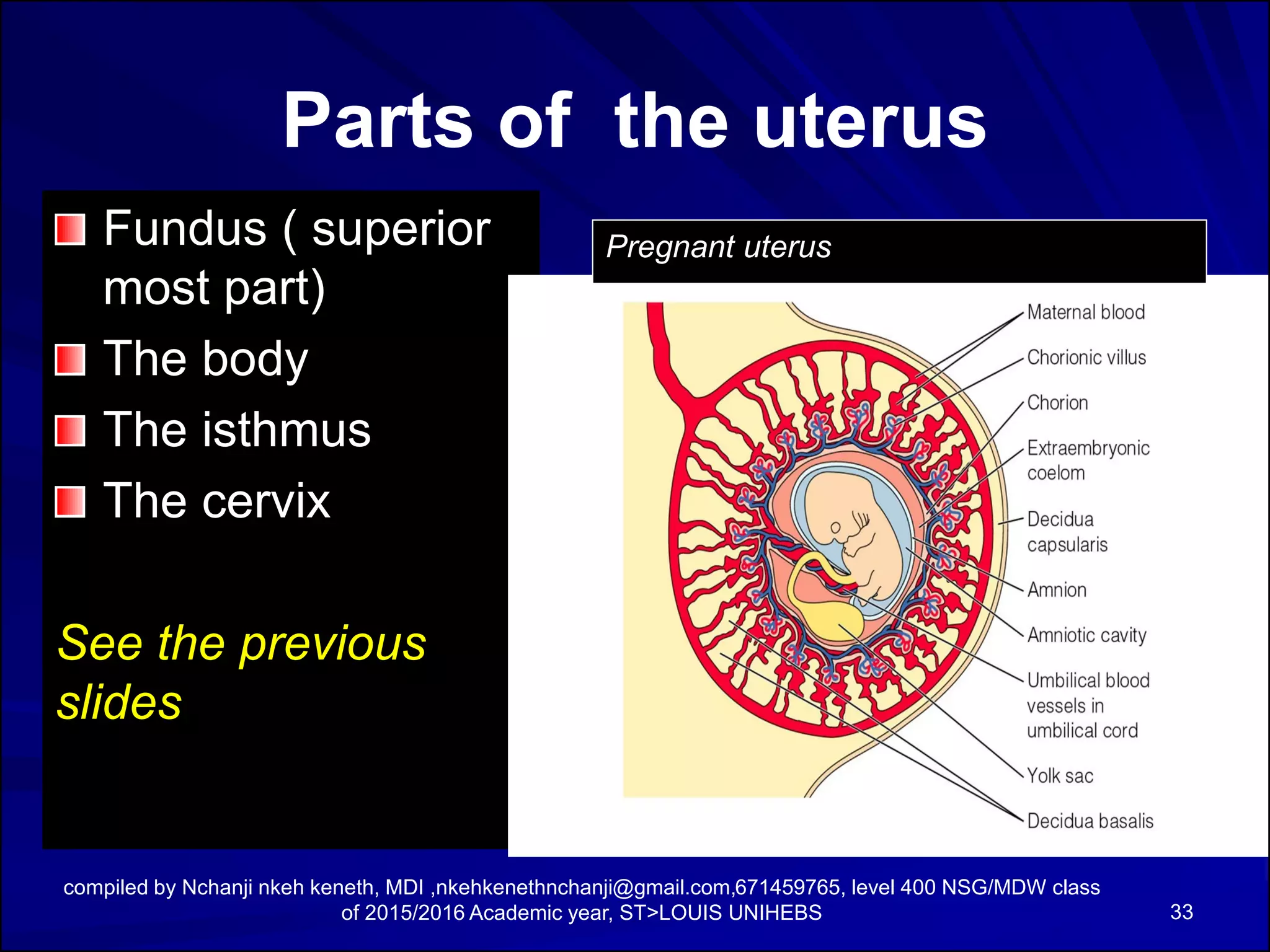 Anatomy and physiology of the female pelvic organs | PDF