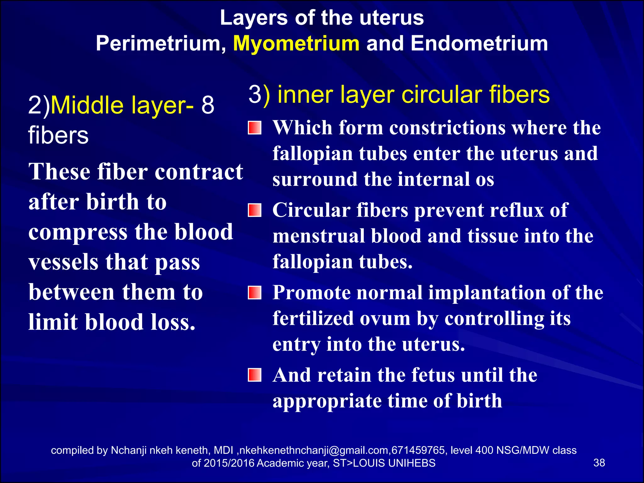 Anatomy and physiology of the female pelvic organs | PDF