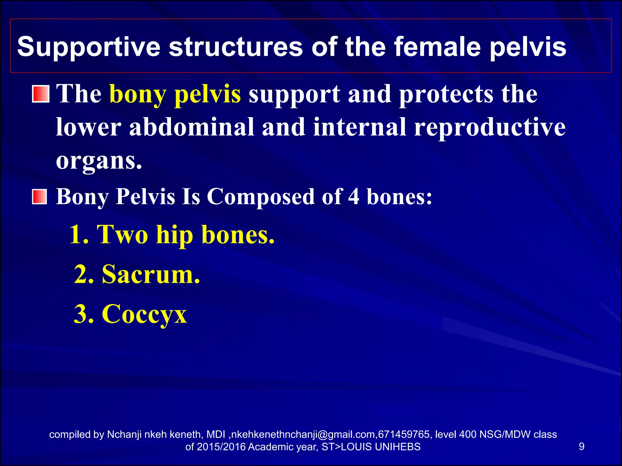 Anatomy and physiology of the female pelvic organs | PDF