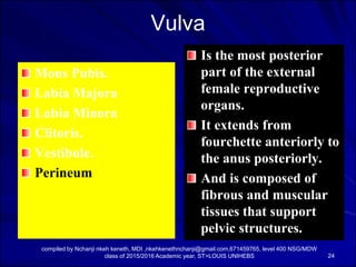 Anatomy and physiology of the female pelvic organs | PDF
