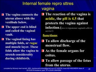 Anatomy and physiology of the female pelvic organs | PDF
