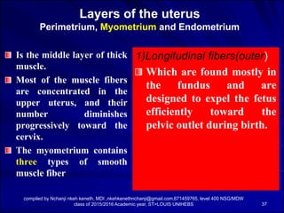 Anatomy and physiology of the female pelvic organs | PDF