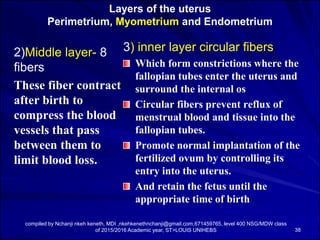 Anatomy and physiology of the female pelvic organs | PDF