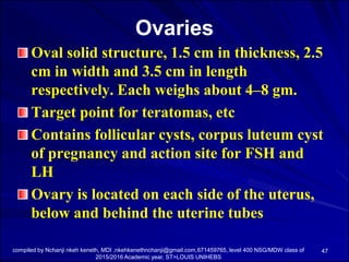 Anatomy and physiology of the female pelvic organs | PDF