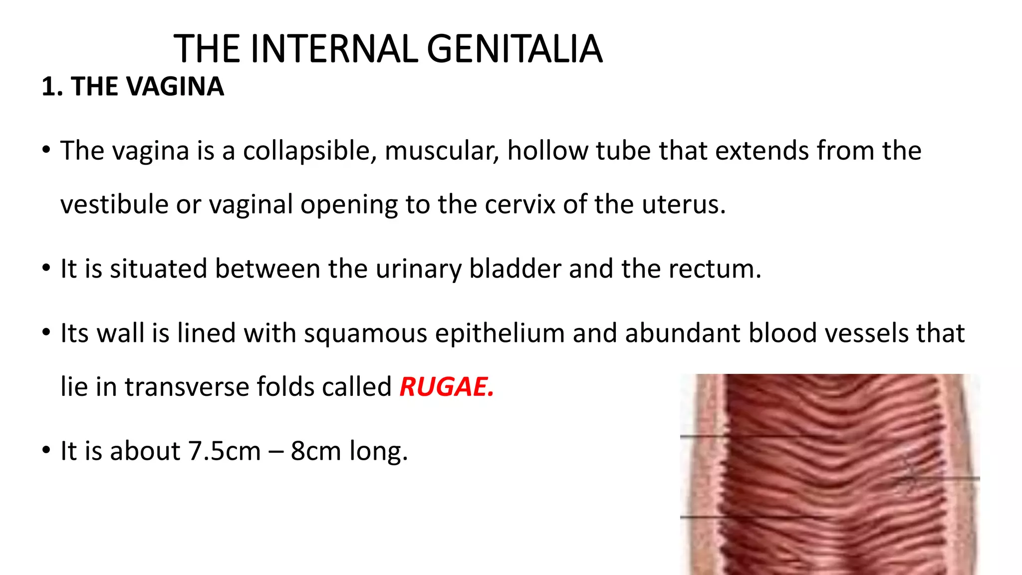 Introduction to anatomy and physiology of the female reproductive ...