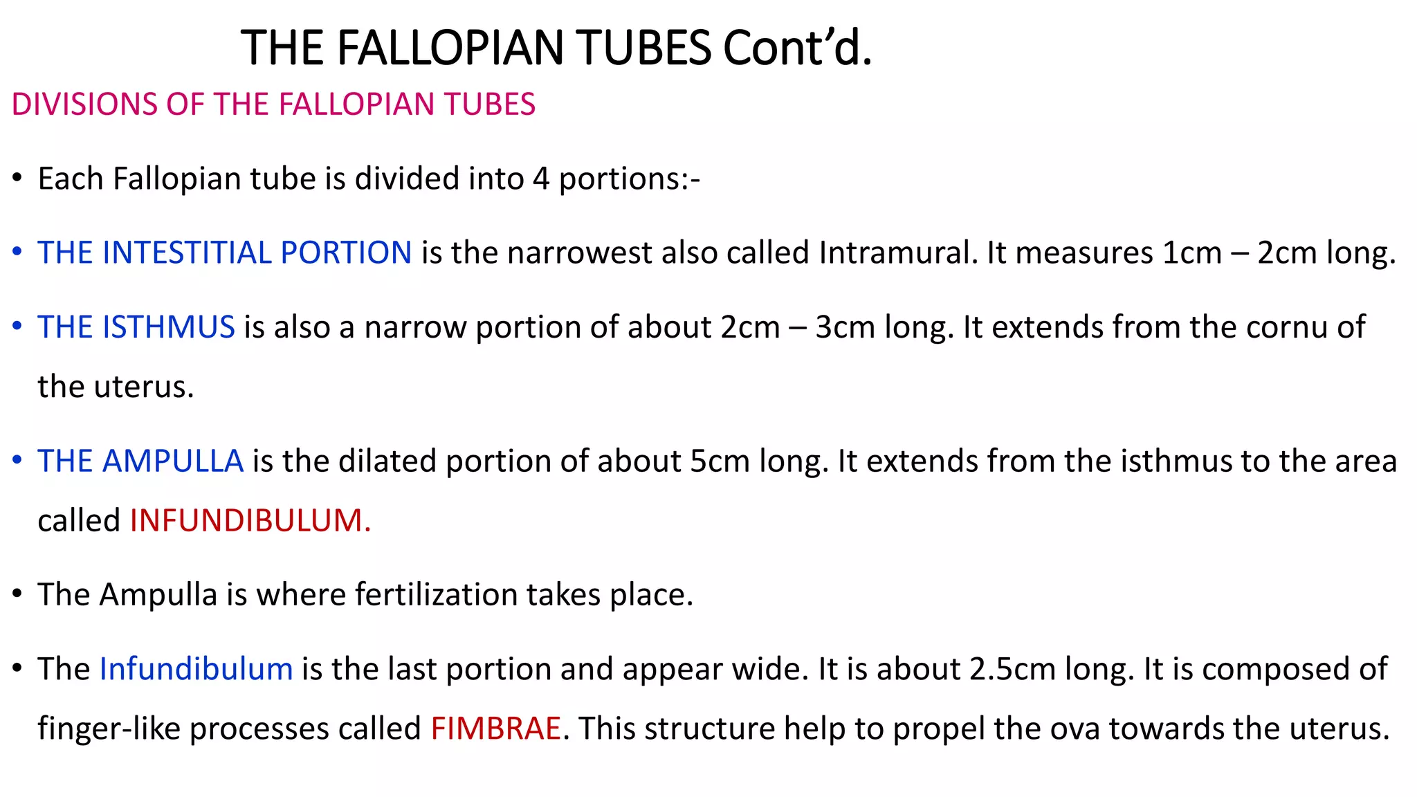 Introduction to anatomy and physiology of the female reproductive ...