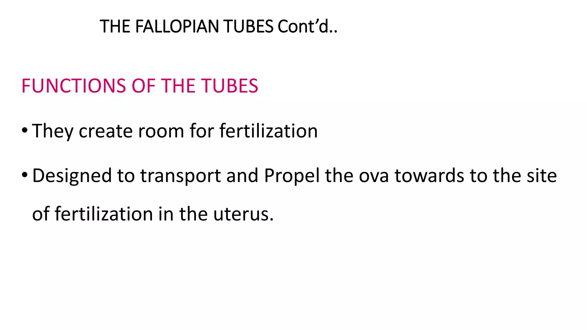 Introduction to anatomy and physiology of the female reproductive ...