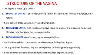 Introduction to anatomy and physiology of the female reproductive ...