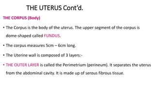 Introduction to anatomy and physiology of the female reproductive ...