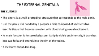 Introduction to anatomy and physiology of the female reproductive system | PDF