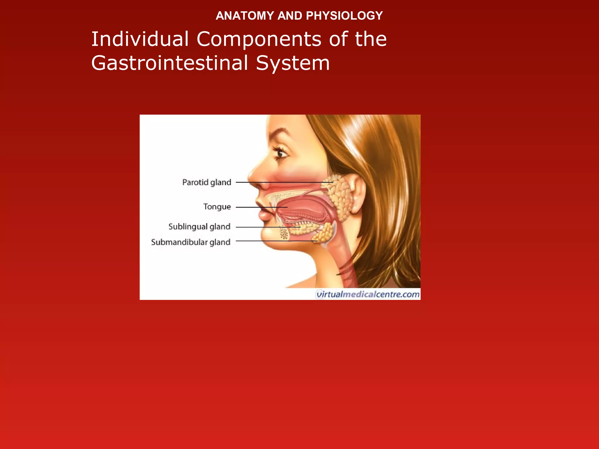 Anatomy and physiology of the gastrointestinal tract (git) | PPT