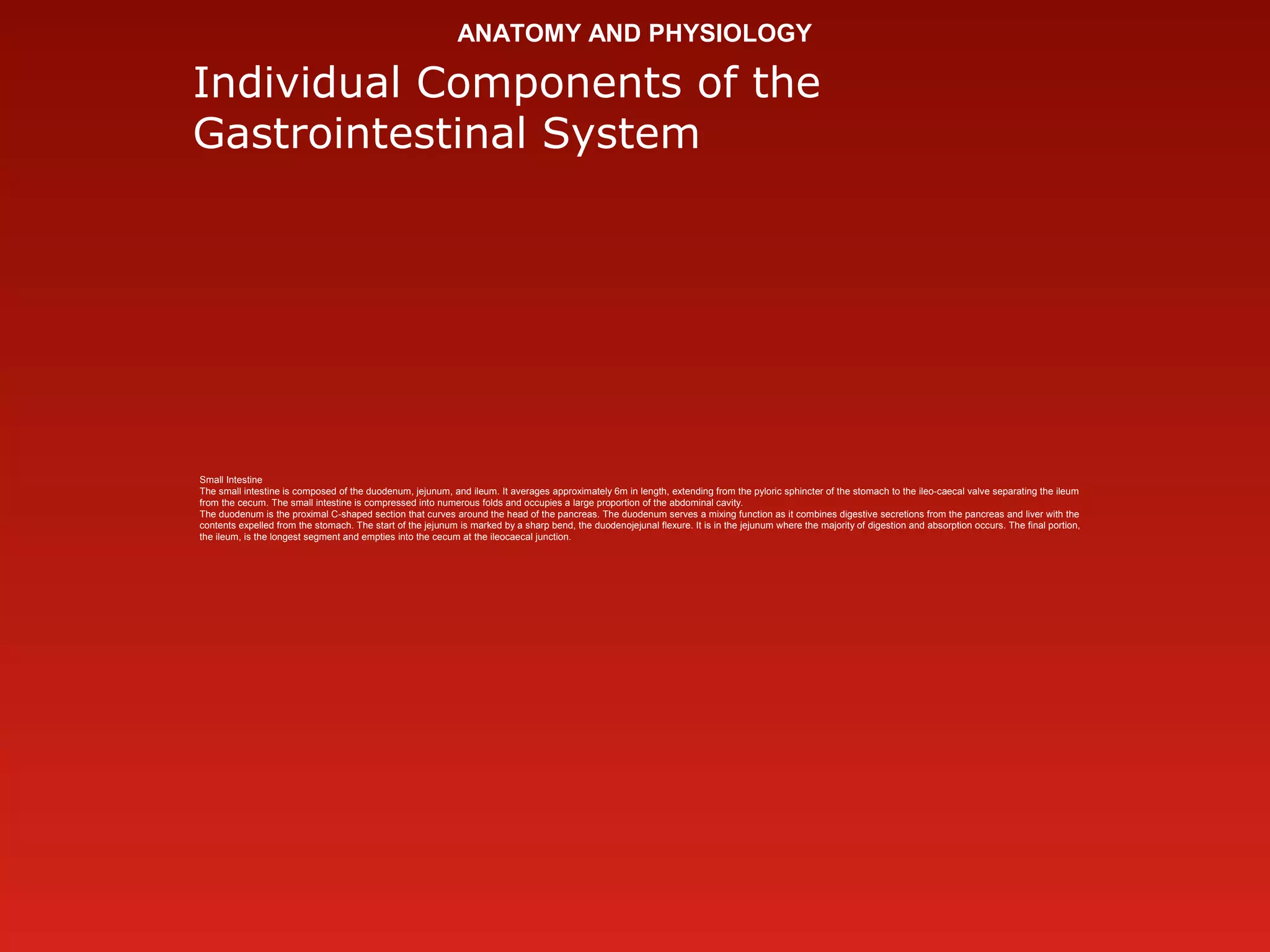 Anatomy and physiology of the gastrointestinal tract (git) | PPT