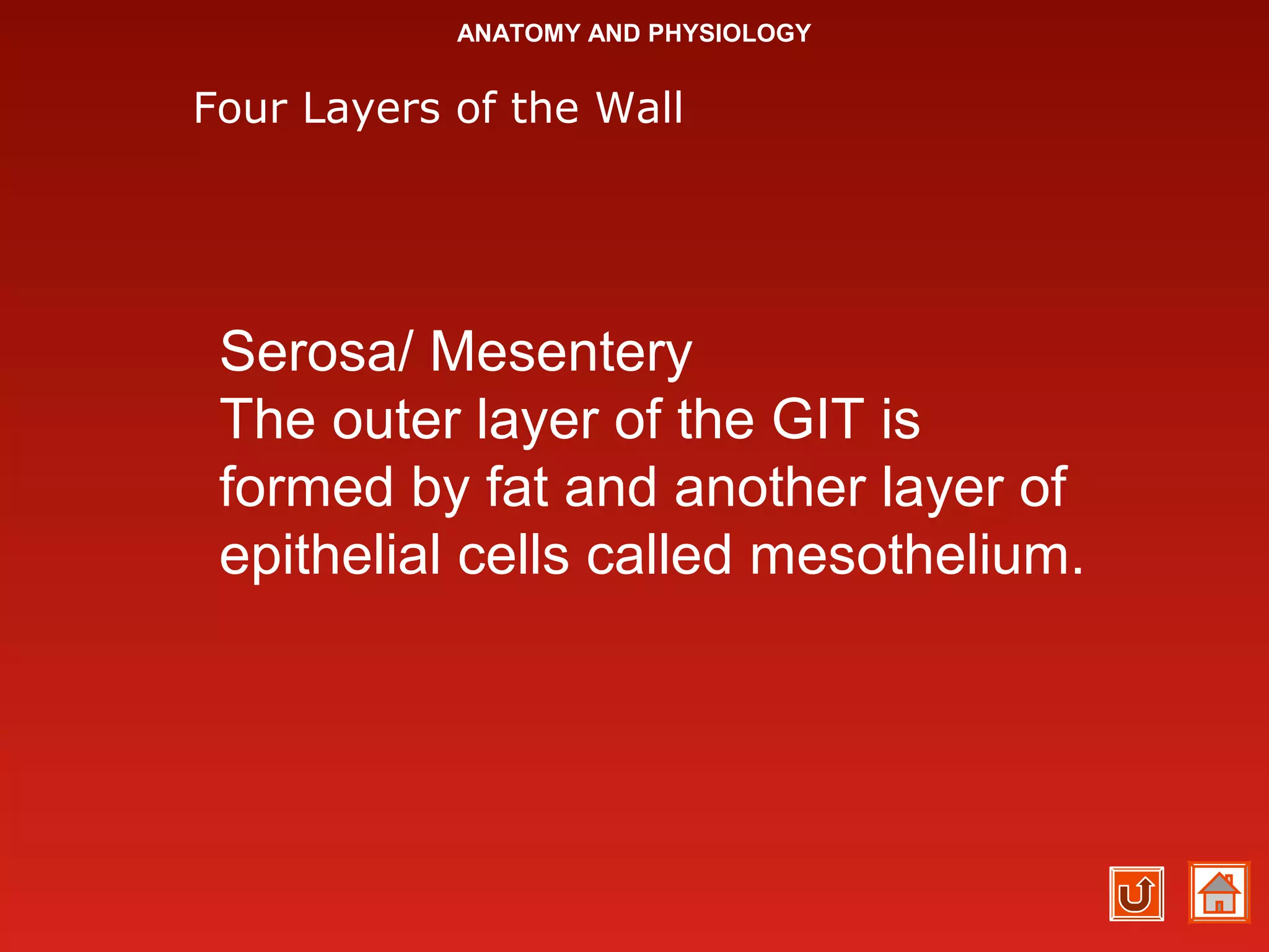 Anatomy and physiology of the gastrointestinal tract (git) | PPT